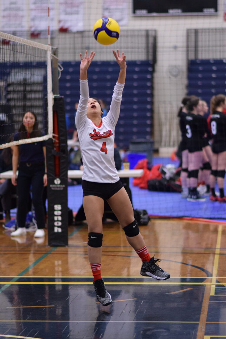 Gallery – Action Volleyball Club